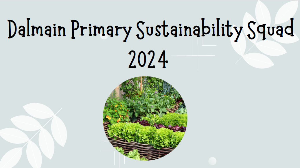 Sustainability – Dalmain Primary School